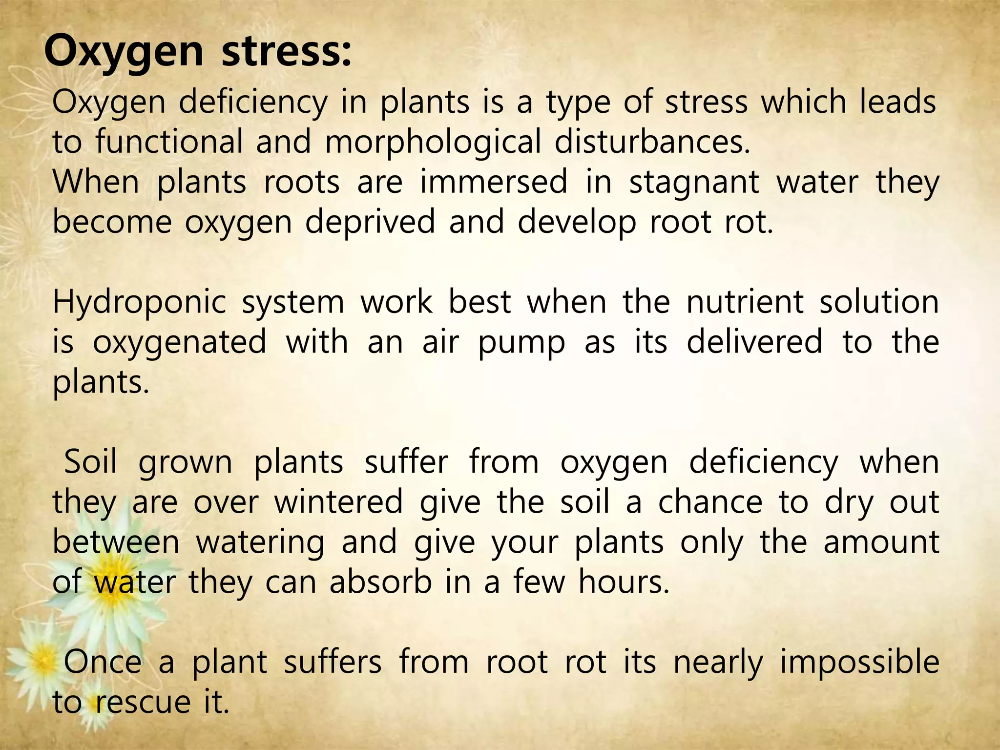 Oxygen Deficiency In Plants | PPTX