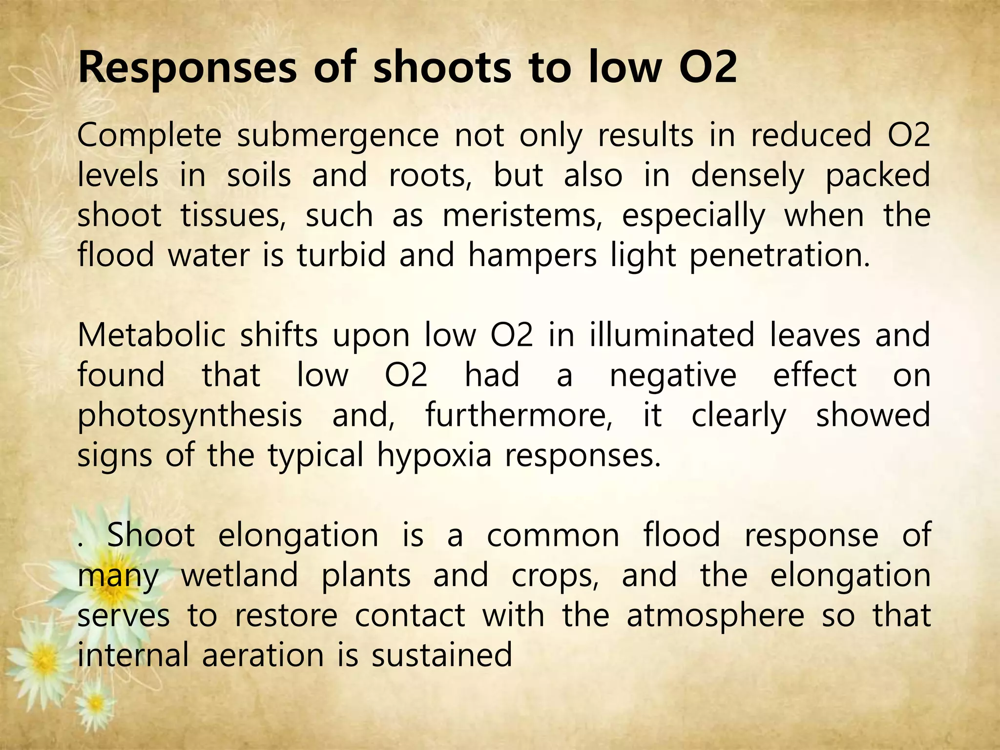 Oxygen Deficiency In Plants | PPTX