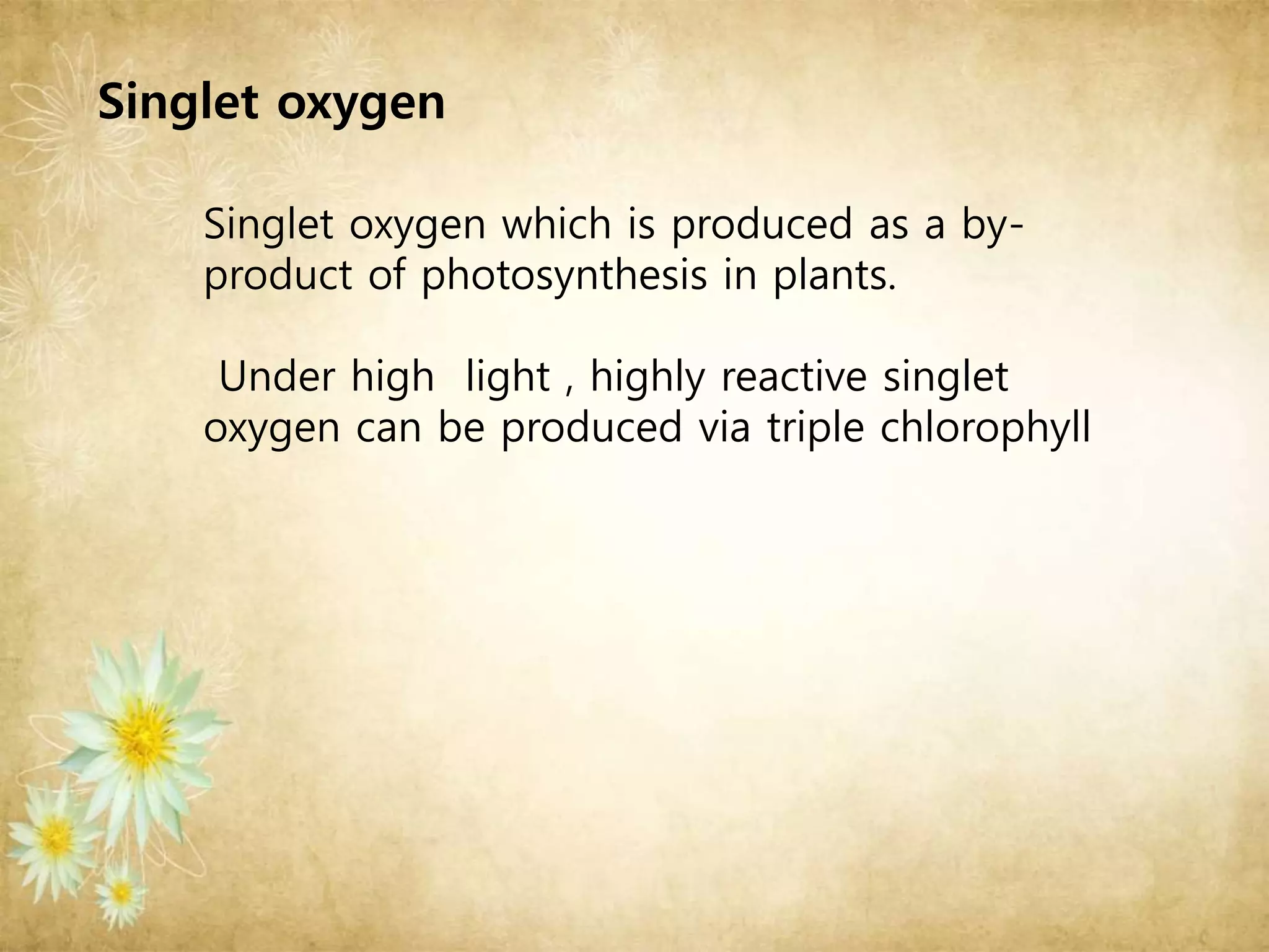 Oxygen Deficiency In Plants | PPTX