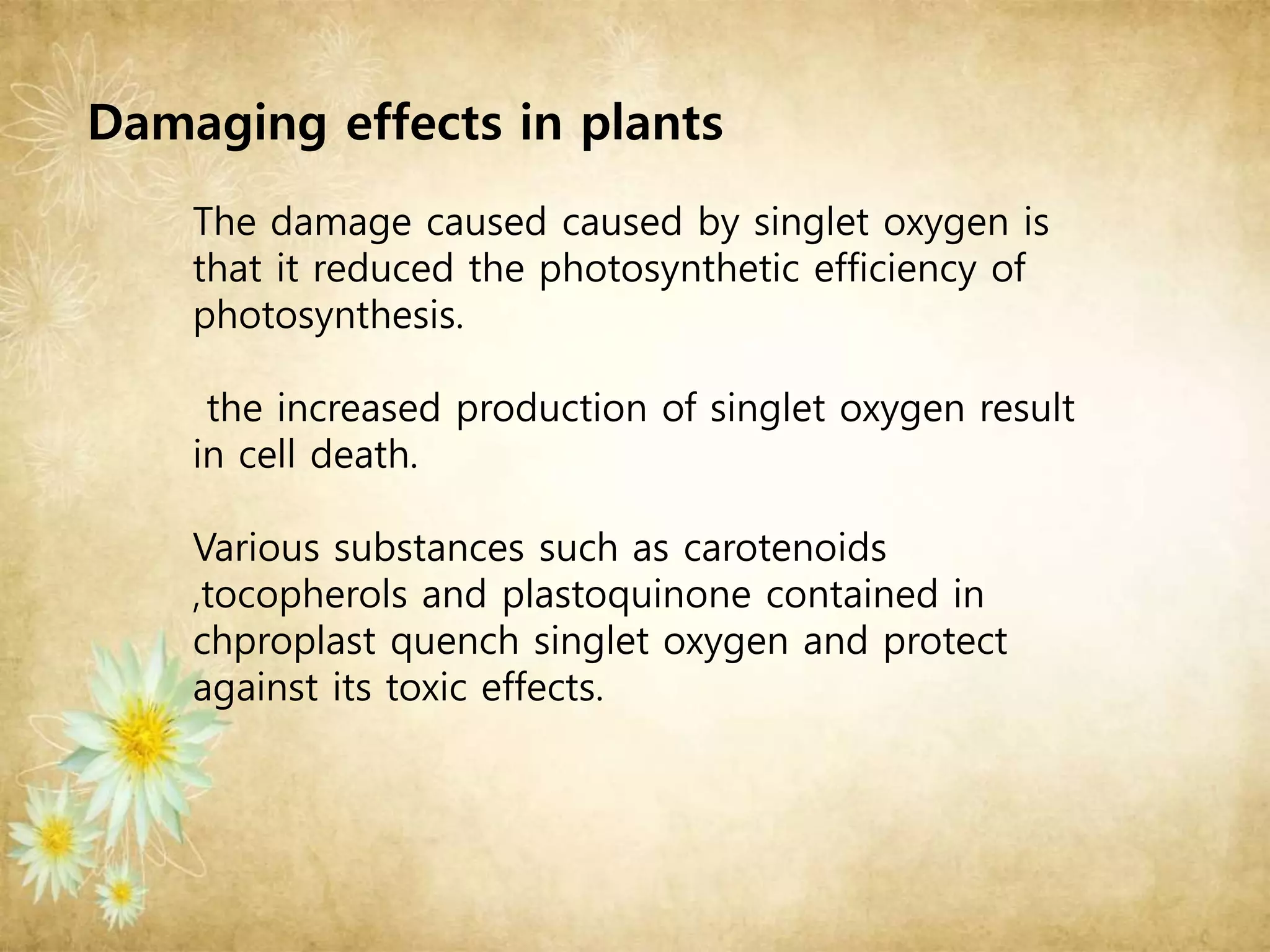 Oxygen Deficiency In Plants | PPTX