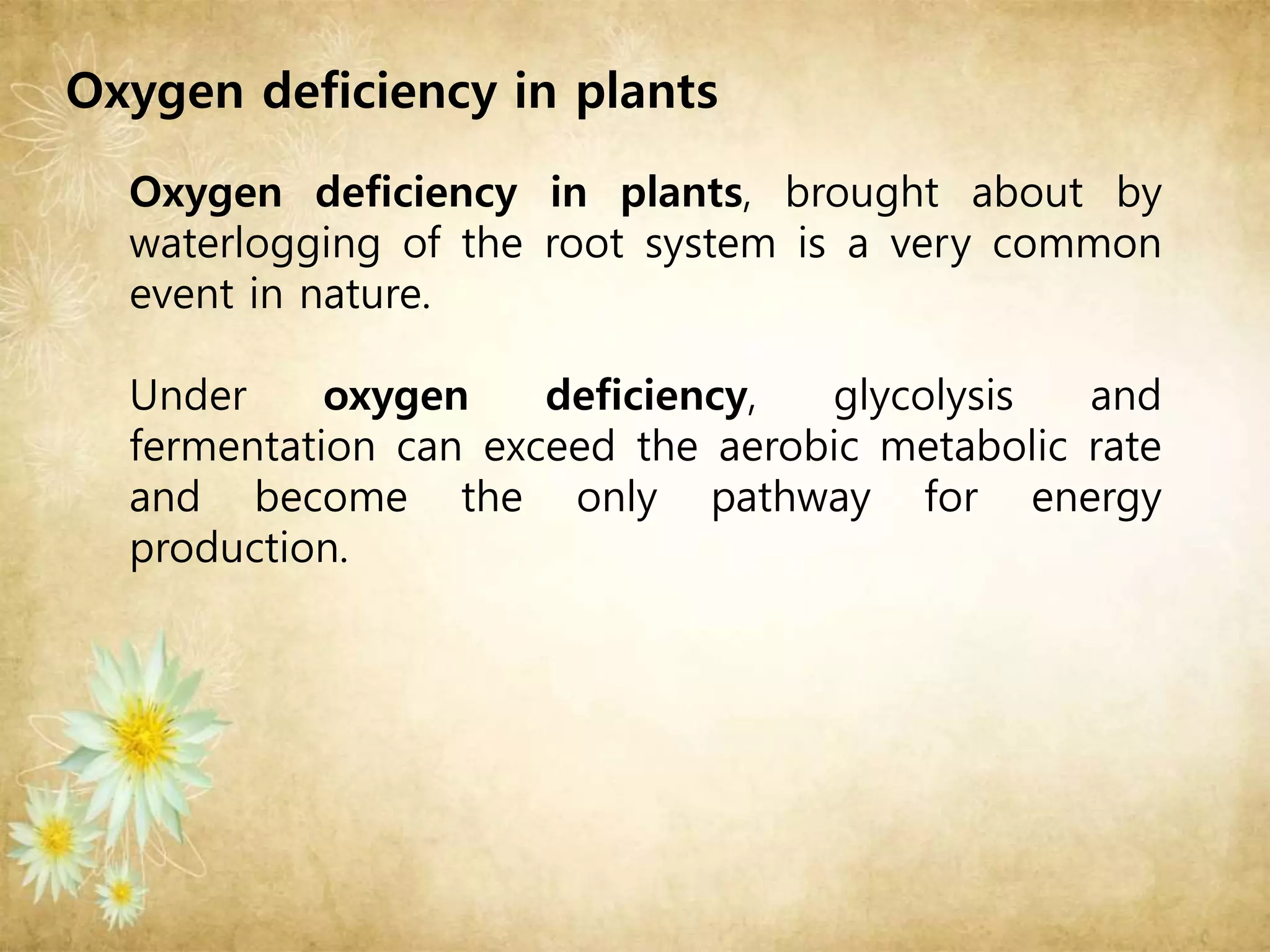 Oxygen Deficiency In Plants | PPT