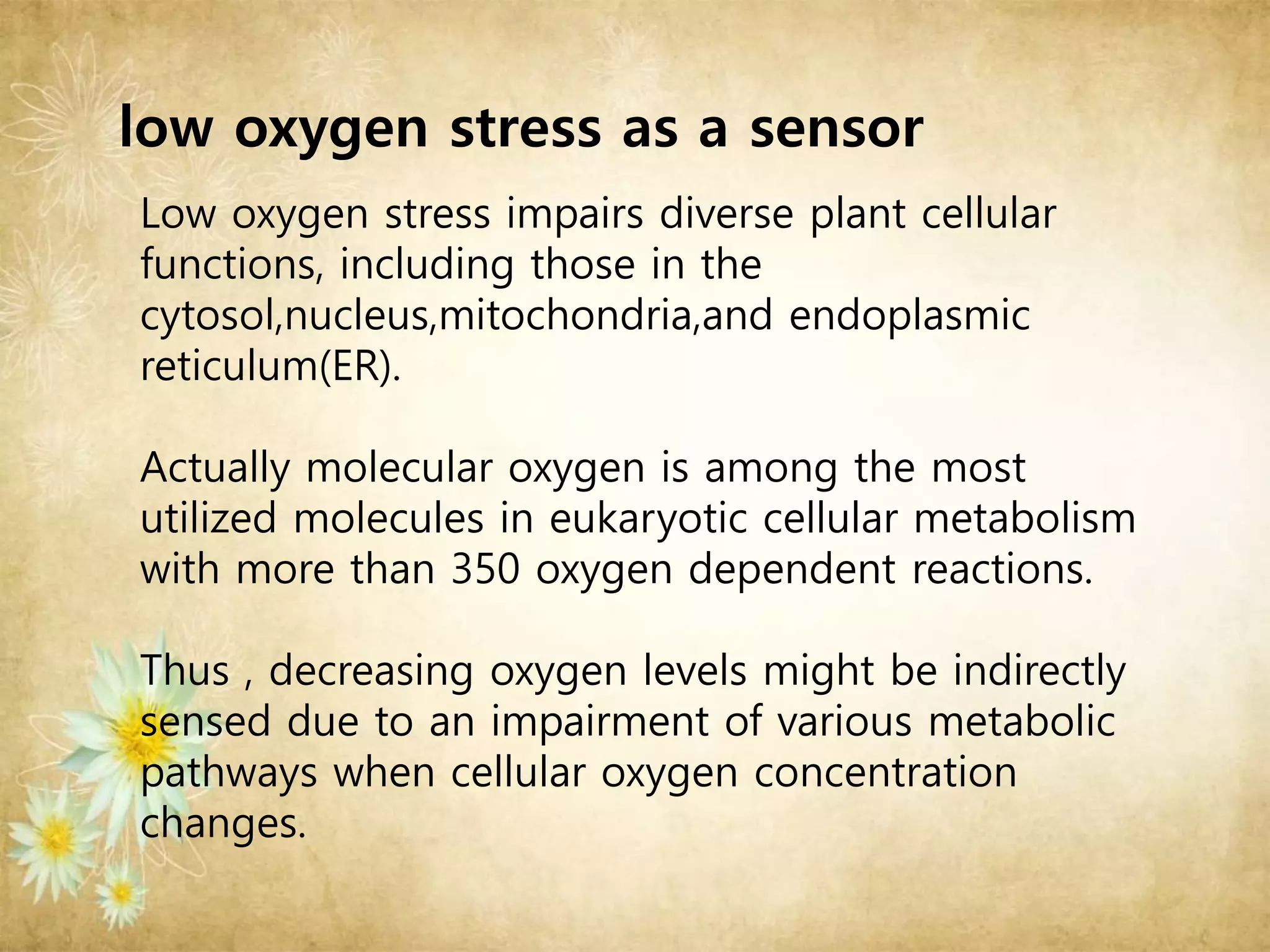 Oxygen Deficiency In Plants | PPTX