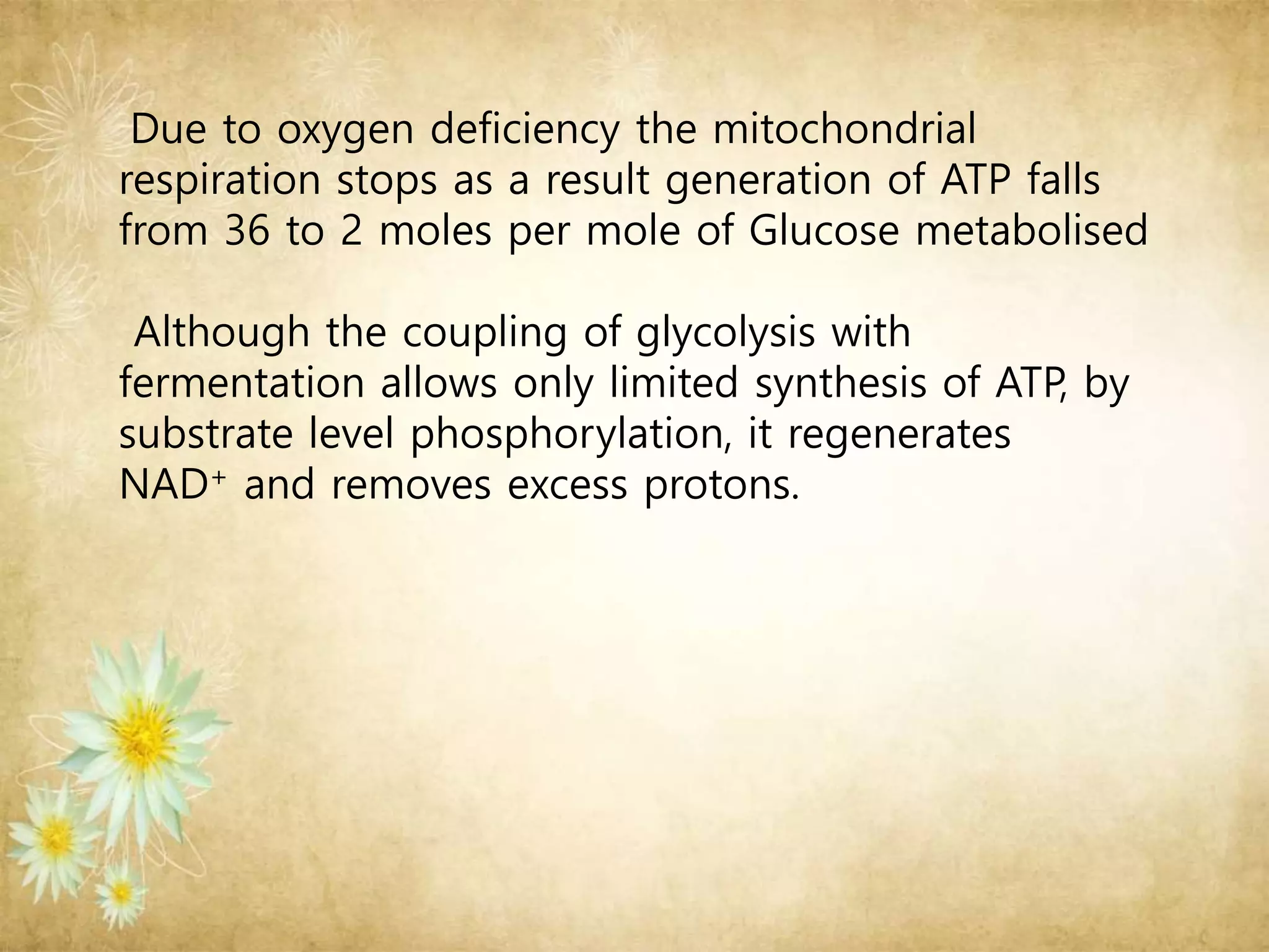 Oxygen Deficiency In Plants | PPTX