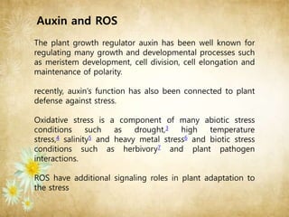 Oxygen Deficiency In Plants | PPTX
