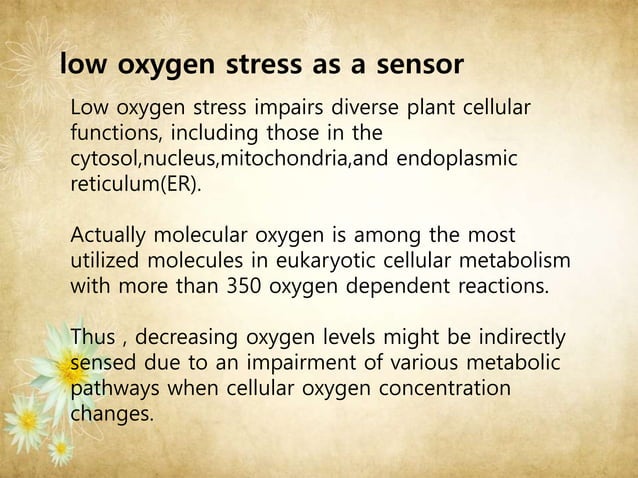 Oxygen Deficiency In Plants | PPTX