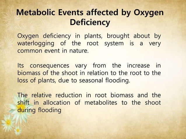 Oxygen Deficiency In Plants | PPTX