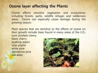Oxygen Deficiency In Plants | PPTX
