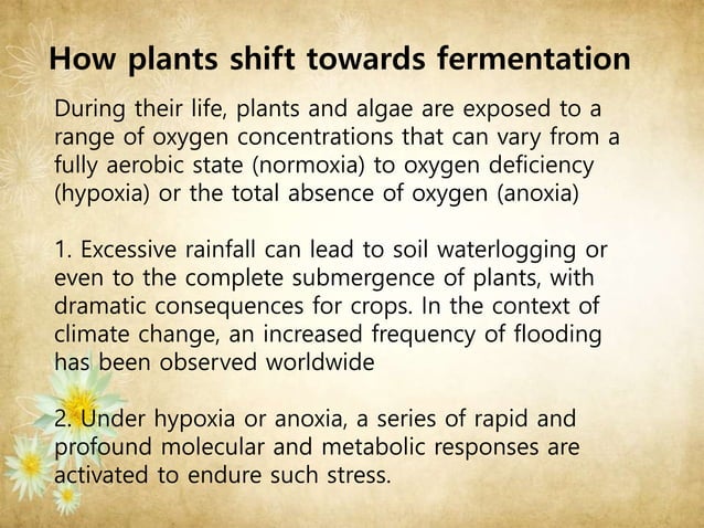 Oxygen Deficiency In Plants | PPT