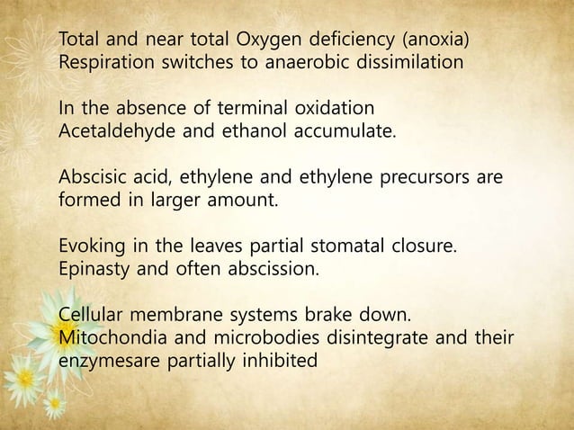Oxygen Deficiency In Plants | PPT