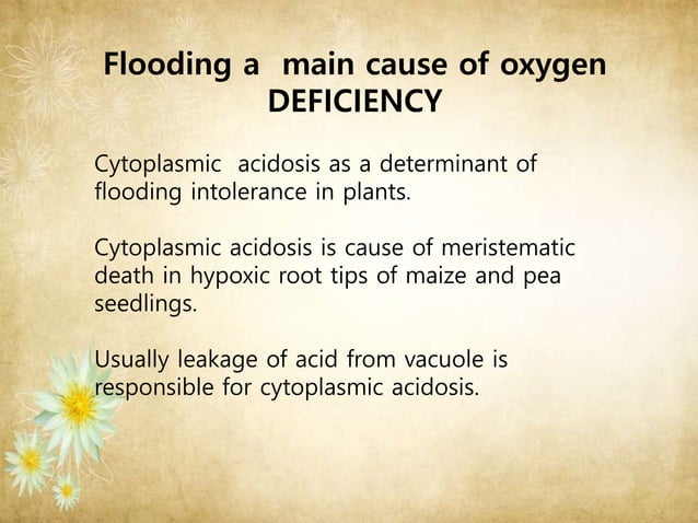 Oxygen Deficiency In Plants | PPT