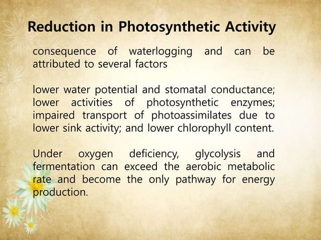 Oxygen Deficiency In Plants | PPT