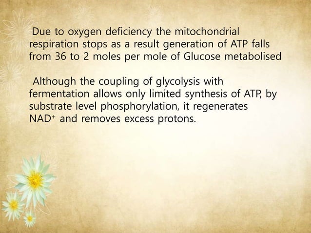 Oxygen Deficiency In Plants | PPT