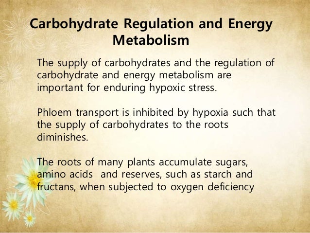 Oxygen Deficiency In Plants