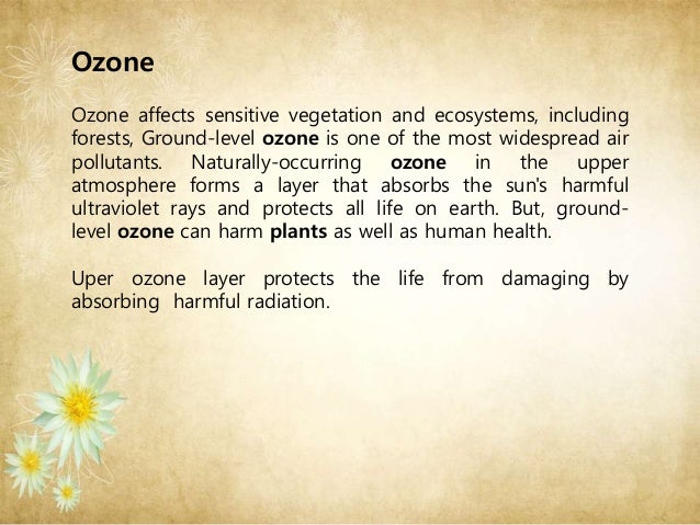Oxygen Deficiency In Plants