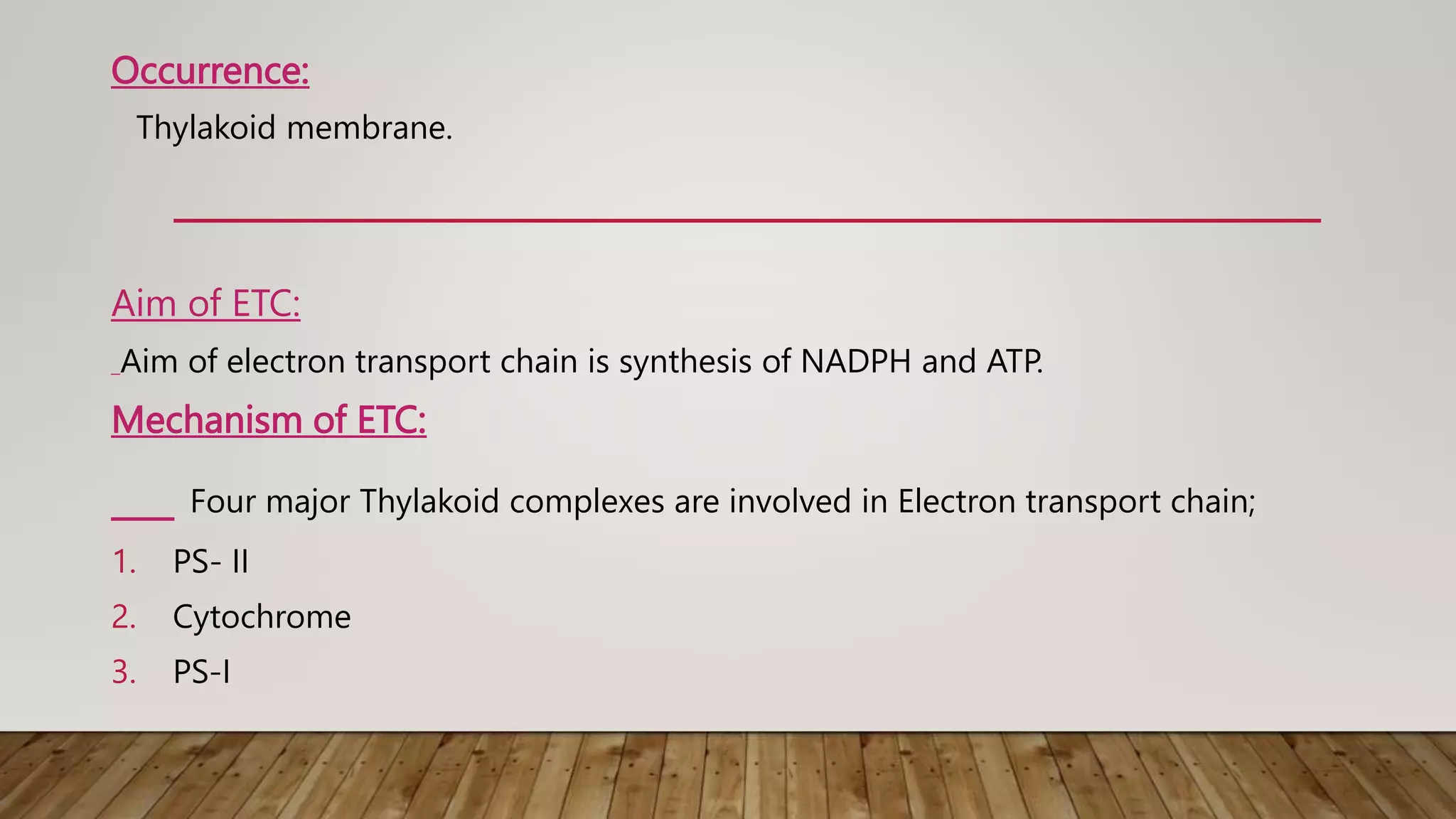 Electron transport chain plant physiology.pptx