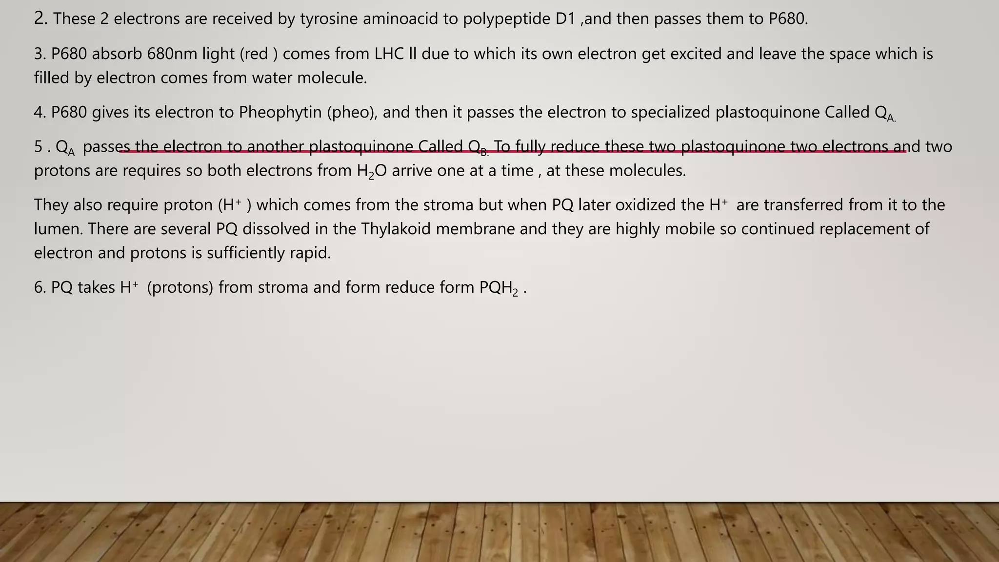 Electron transport chain plant physiology.pptx