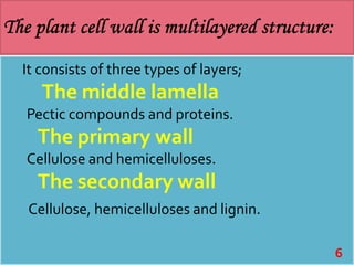 Presentation of plant protoplasts | PPTX