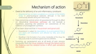 Chemistry of Paracetamol | PPTX