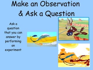 Presentation Of Scientific Method With Quiz Rr Version | PPT