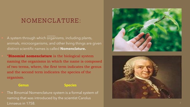 Presentation of botanical nomenclature [Autosaved]-1.pdf | Gardening ...