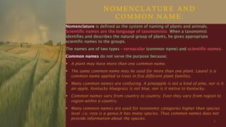 Presentation of botanical nomenclature [Autosaved]-1.pdf | Gardening ...
