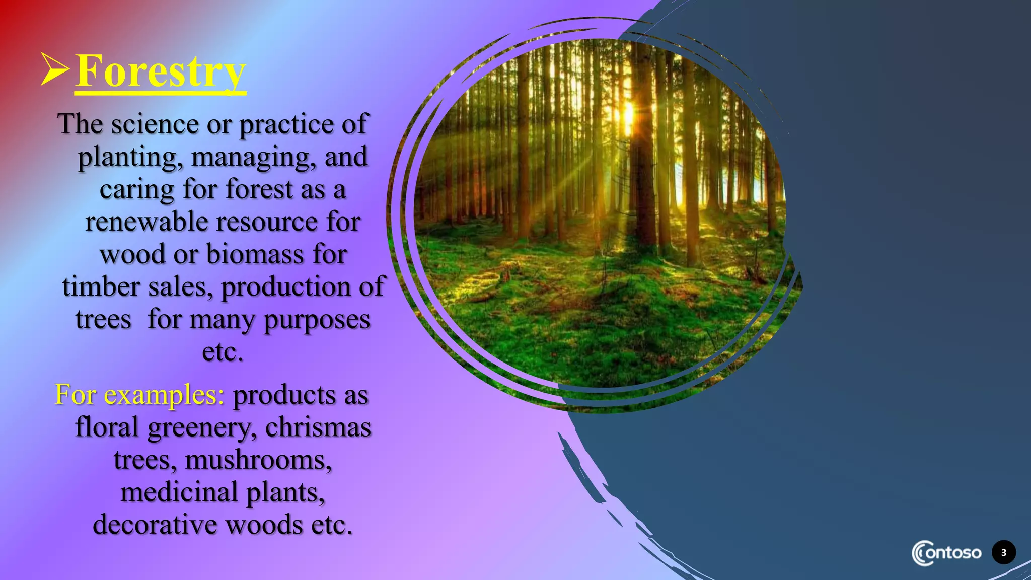 social forestry with their types and benefits | PPTX