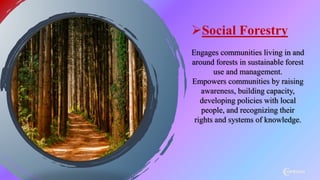 social forestry with their types and benefits | PPTX