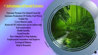 social forestry with their types and benefits | PPTX