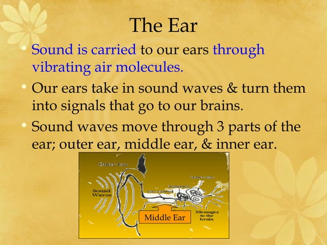 Presentation of sound unit 10 | PPT | Digital Audio | Computer Software ...