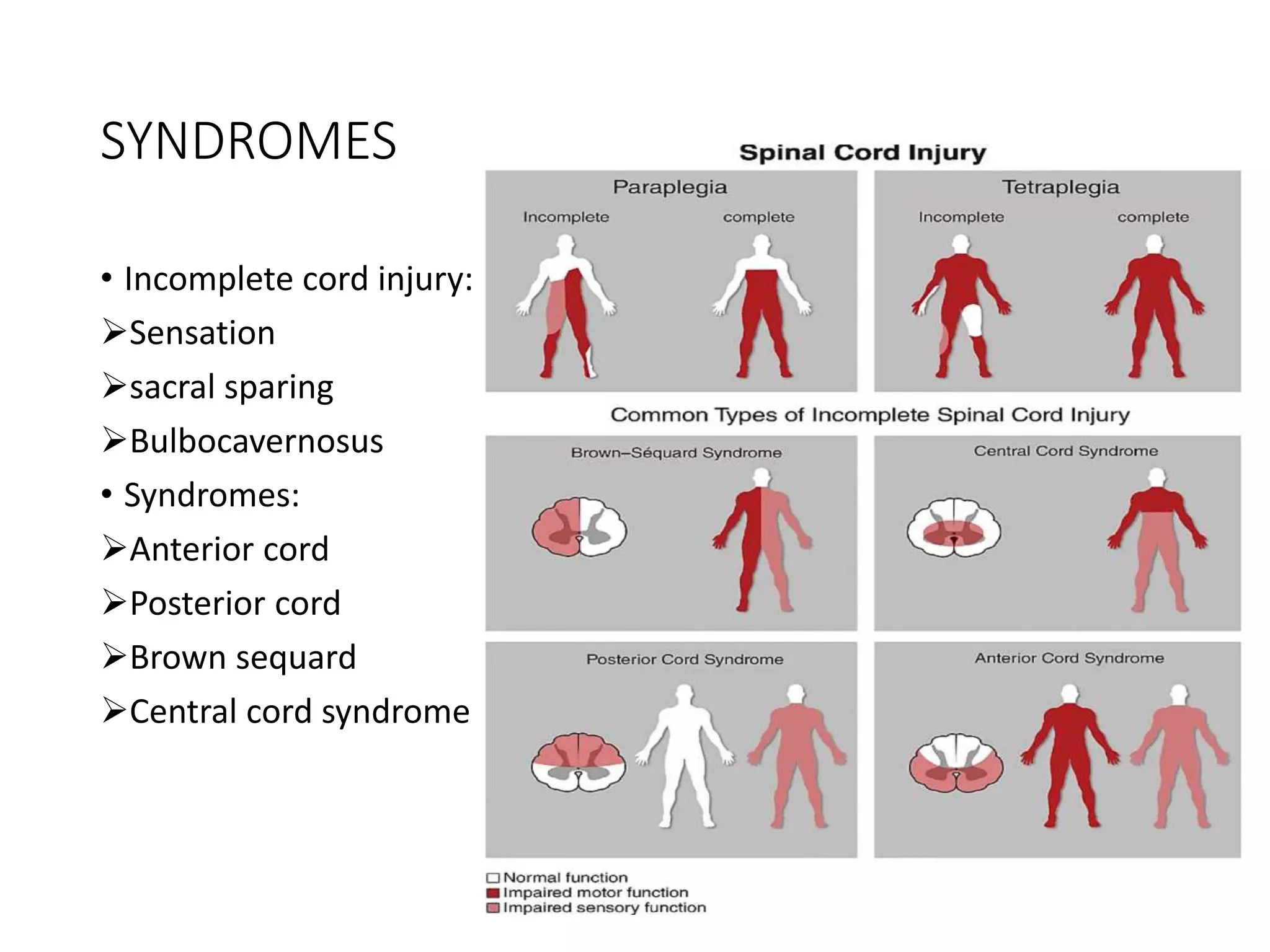 PRESENTATION OF SPINE INJURY BY DR.MUMTAZ ALI.ppt