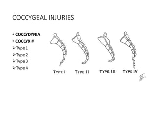 PRESENTATION OF SPINE INJURY BY DR.MUMTAZ ALI.ppt