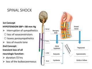 PRESENTATION OF SPINE INJURY BY DR.MUMTAZ ALI.ppt