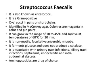 presentationofstreptococcus-180731145601.pdf