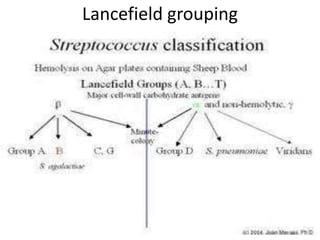 presentationofstreptococcus-180731145601.pdf