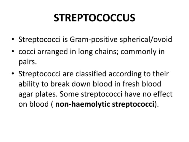 Presentation of streptococcus | PPTX
