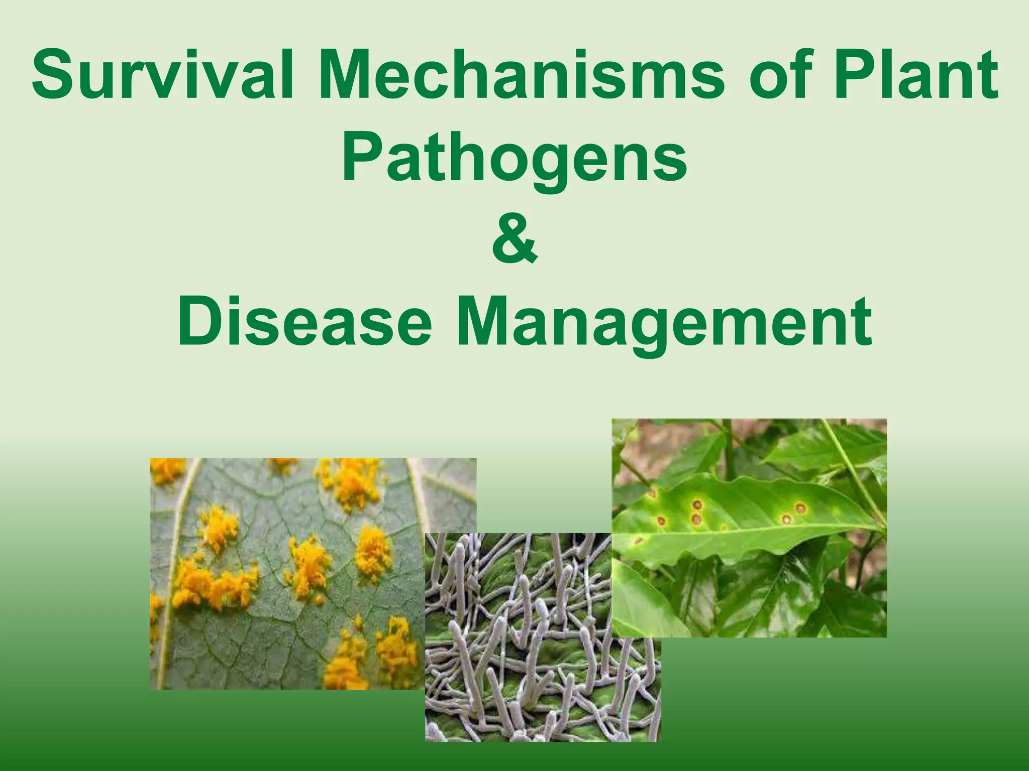 presentationofsurvivalmechnismsofpathogens-151007022112-lva1-app6891.pdf