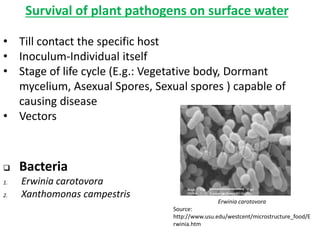 Presentation of survival mechnisms of pathogens | PPTX