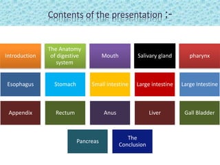 presentation of the human digestive system.pptx | Digestive Disorders ...
