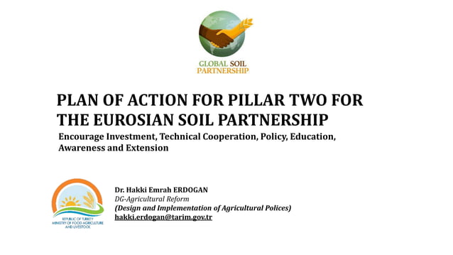 Presentation of the implementation plan for Pillar 2 | PPT