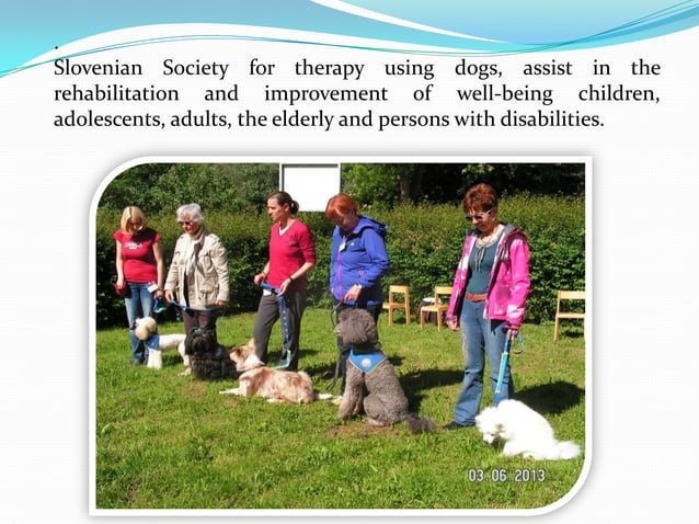 Presentation of therapy dogs | PPTX