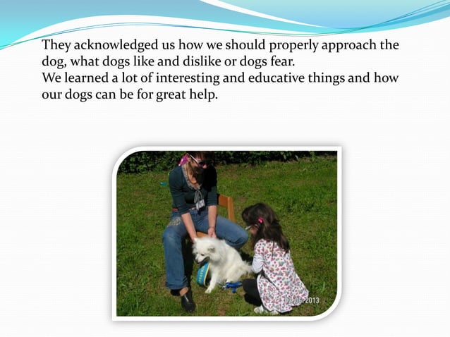 Presentation of therapy dogs | PPTX