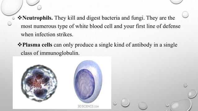 Presentation okkkk | PPT