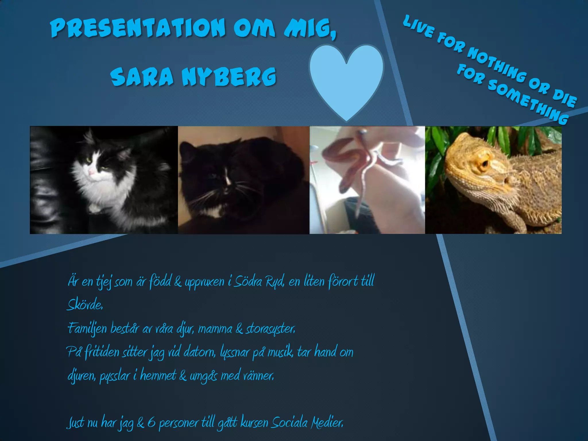 Presentation om mig, | PPTX