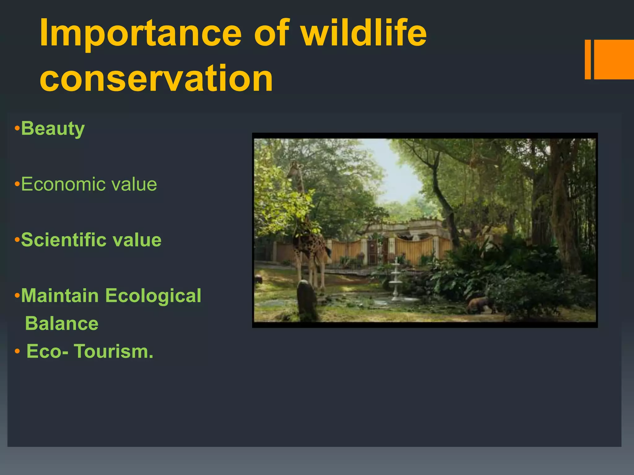 Presentation on nature and wildlife conservation | PPTX