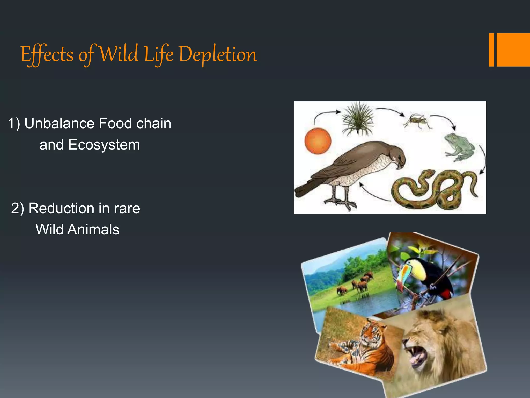 Presentation on nature and wildlife conservation | PPTX