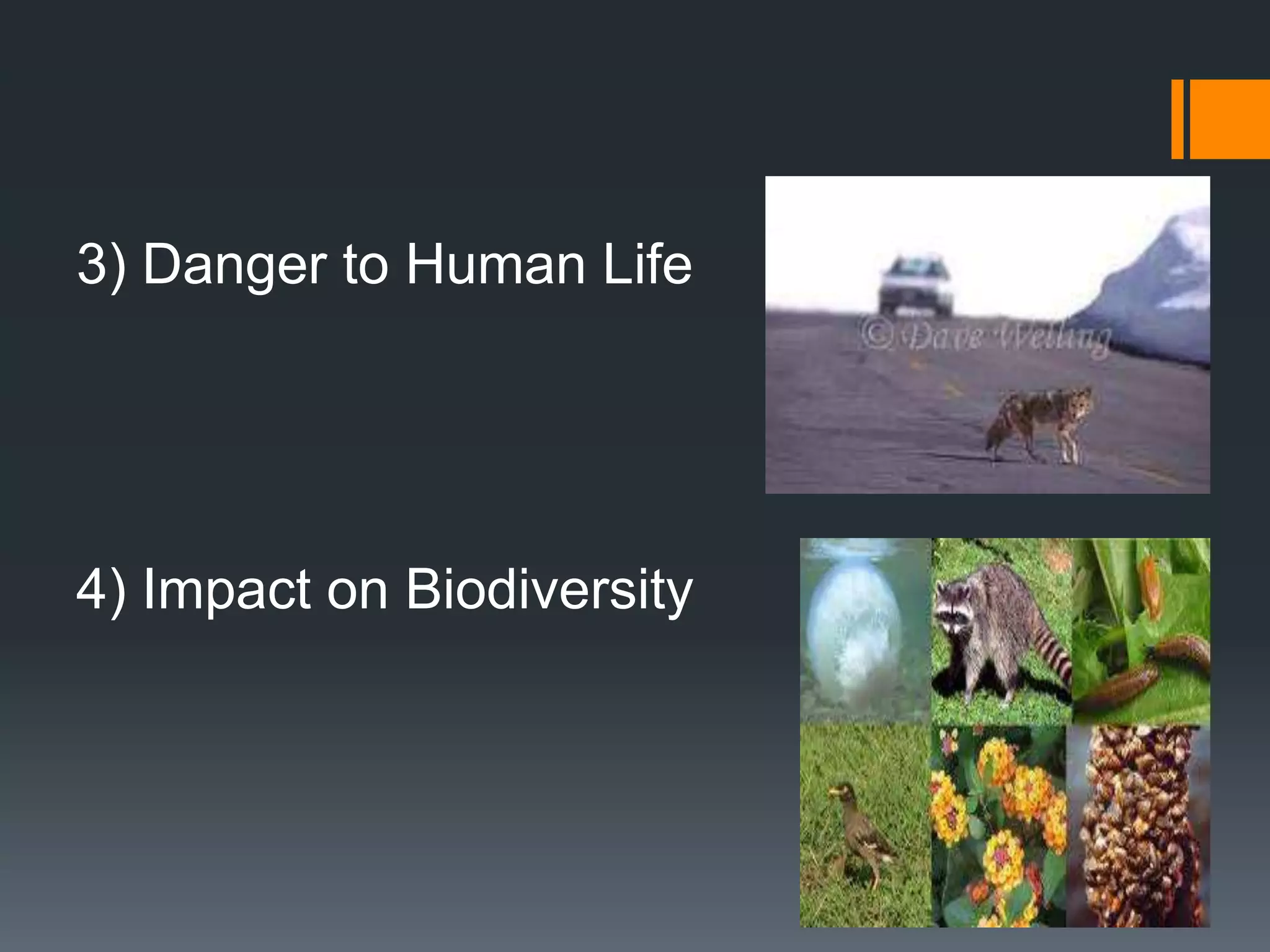 Presentation on nature and wildlife conservation | PPTX