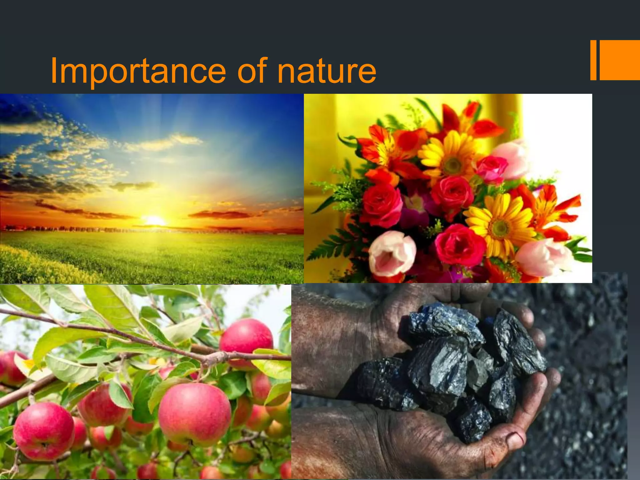 Presentation on nature and wildlife conservation | PPTX