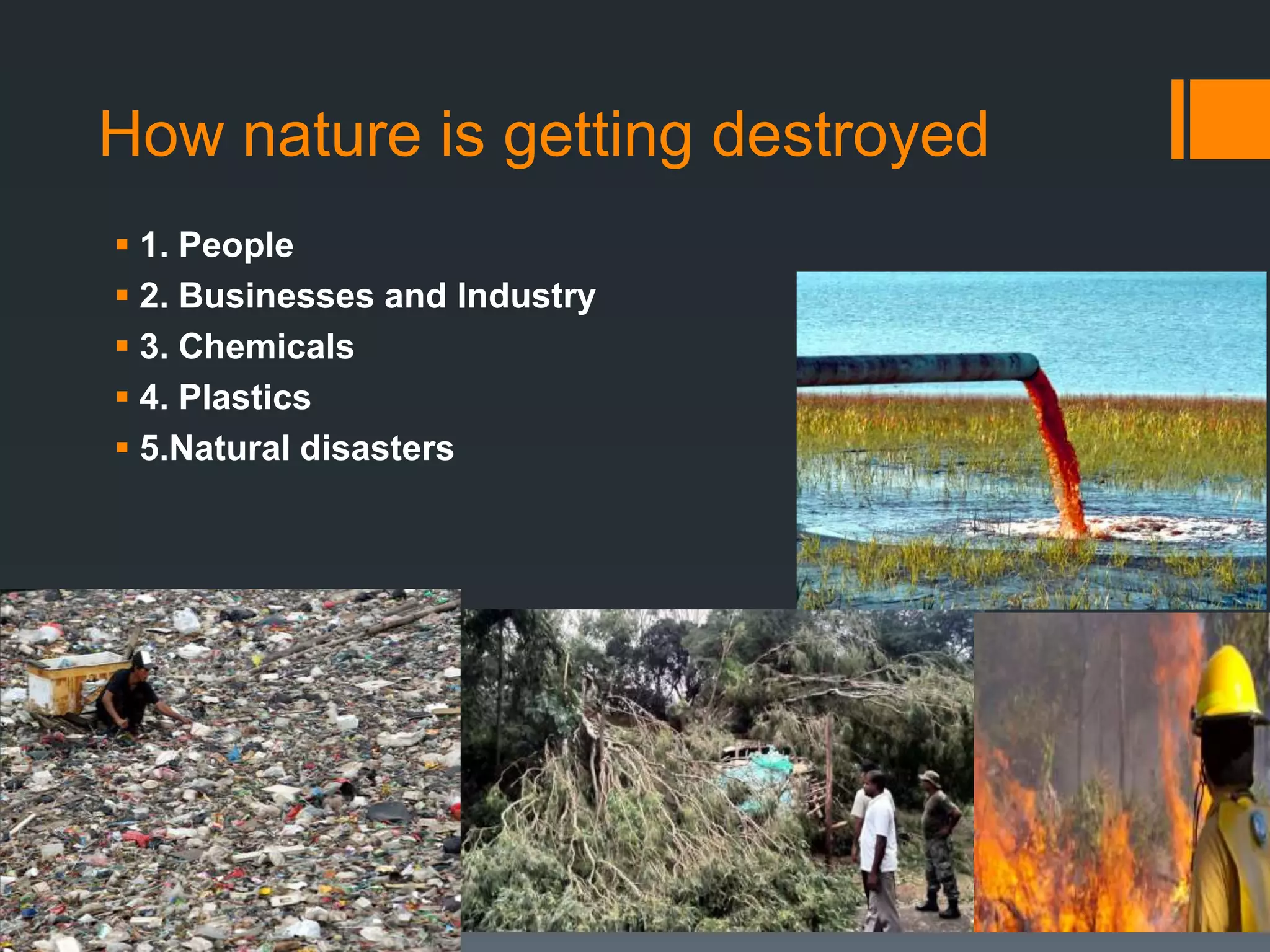 Presentation on nature and wildlife conservation | PPTX