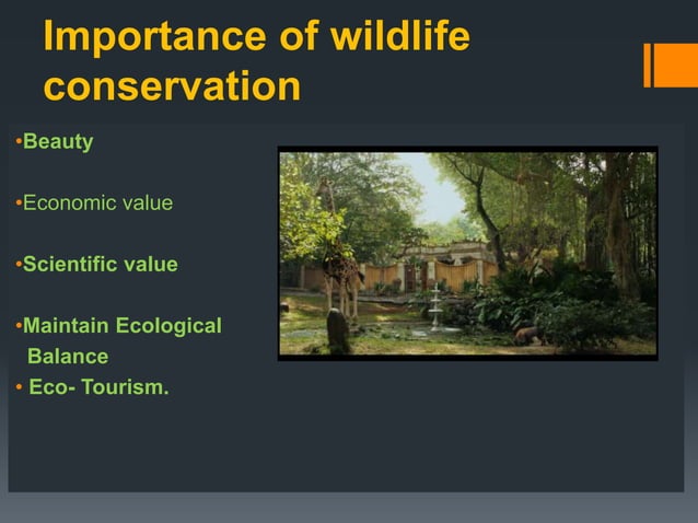Presentation on nature and wildlife conservation | PPTX