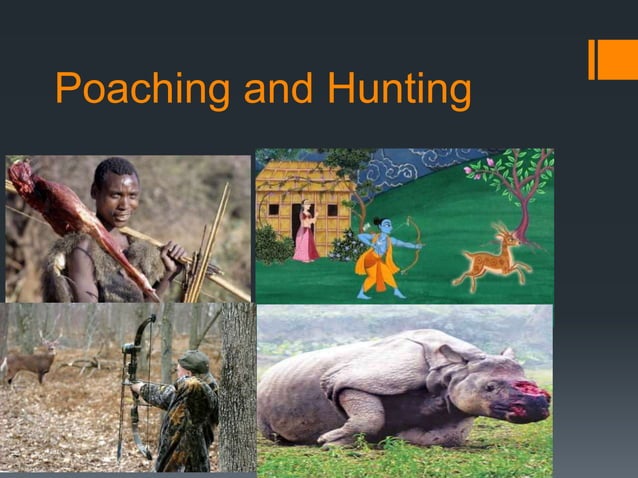 Presentation on nature and wildlife conservation | PPTX